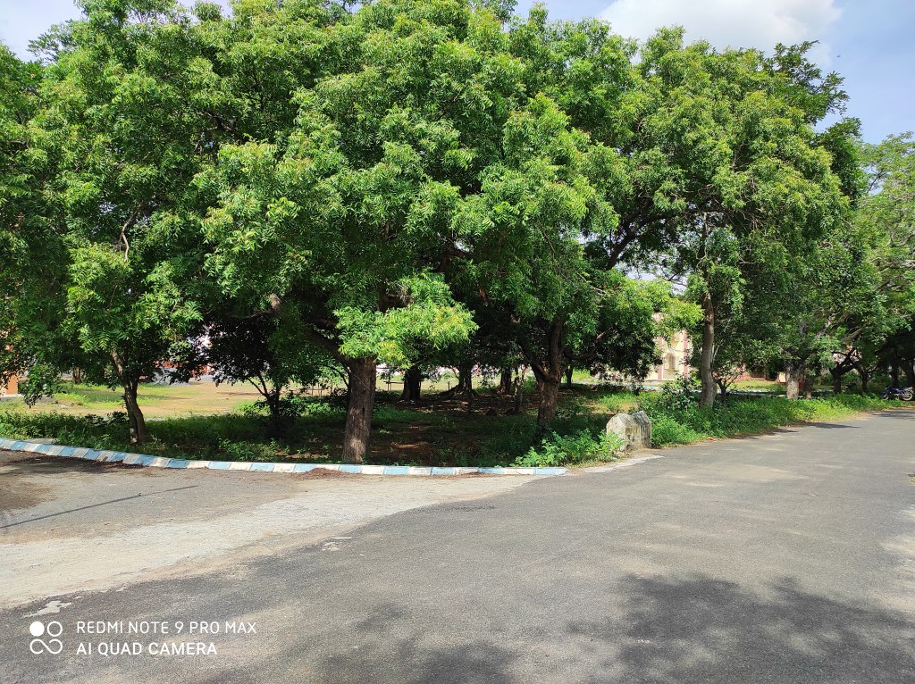 Thiru A. Govindasamy Govt. Arts College – Tindivanam, Villupuram – 604307